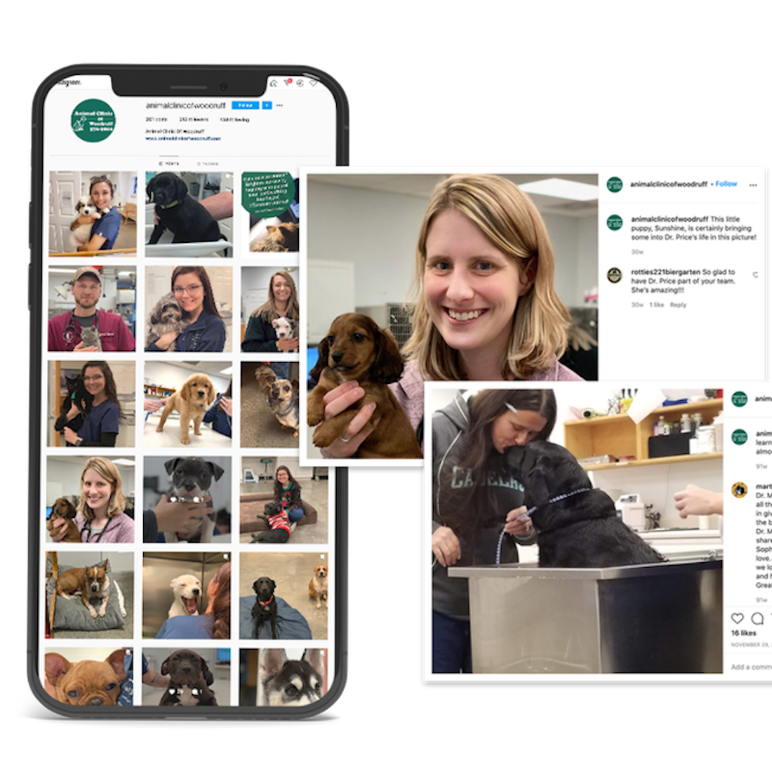 ALINE | Web Design & Digital Marketing in Spartanburg SC